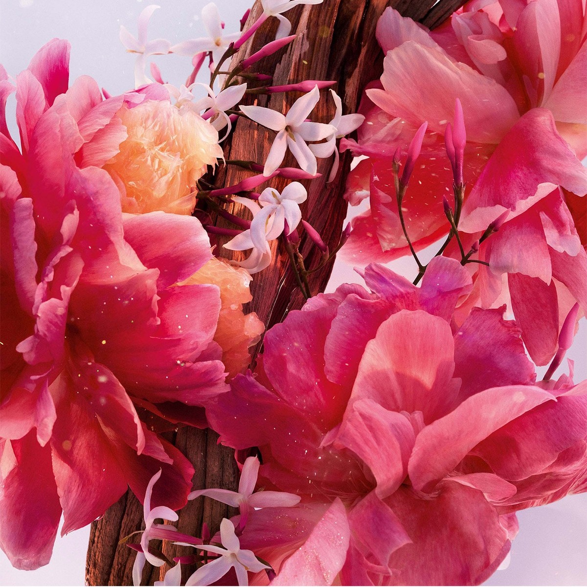 Γυναικείο Άρωμα Christian Dior Miss Dior Parfum 80ml μόνο με 136.59