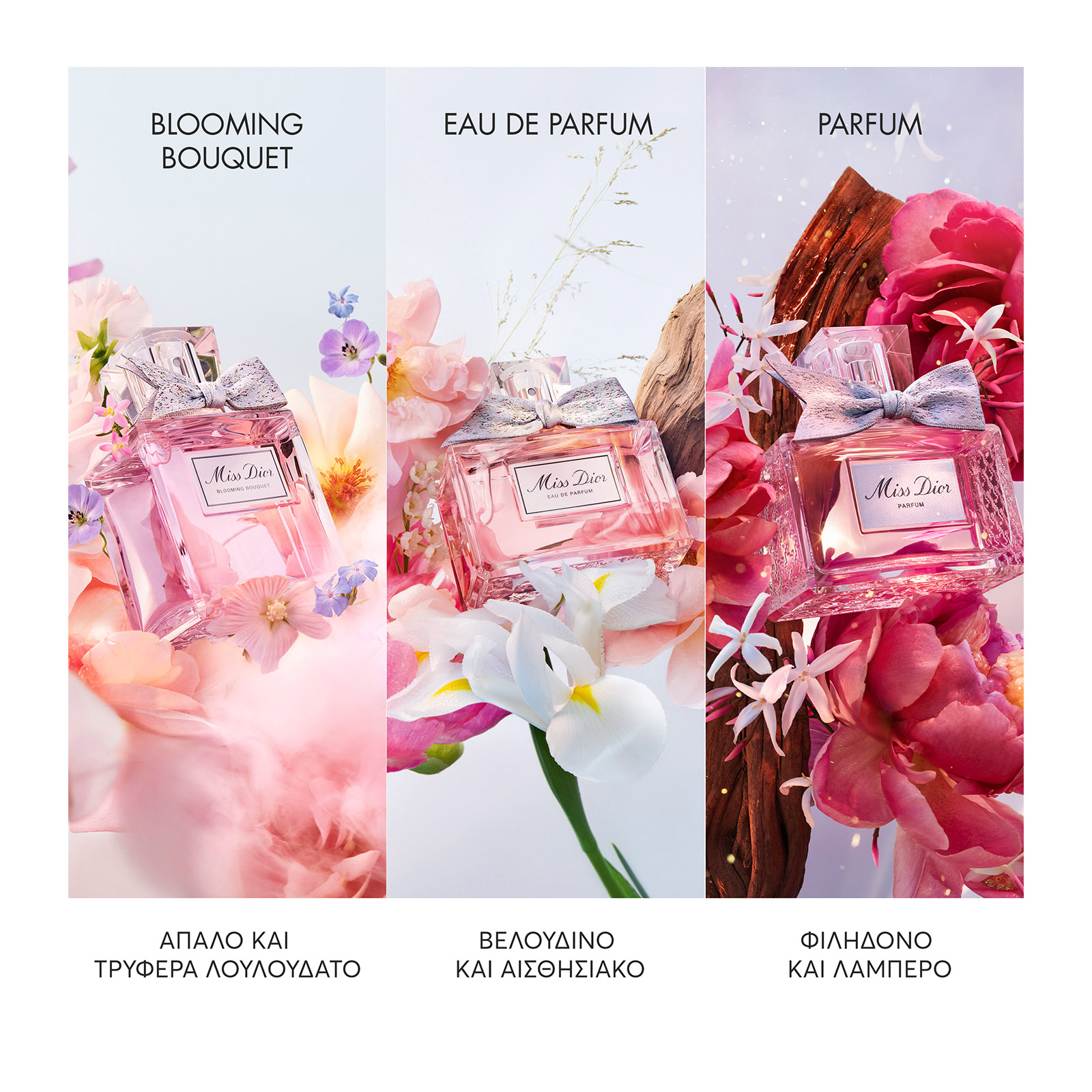 Γυναικείο Άρωμα Christian Dior Miss Dior Parfum 80ml μόνο με 128.06