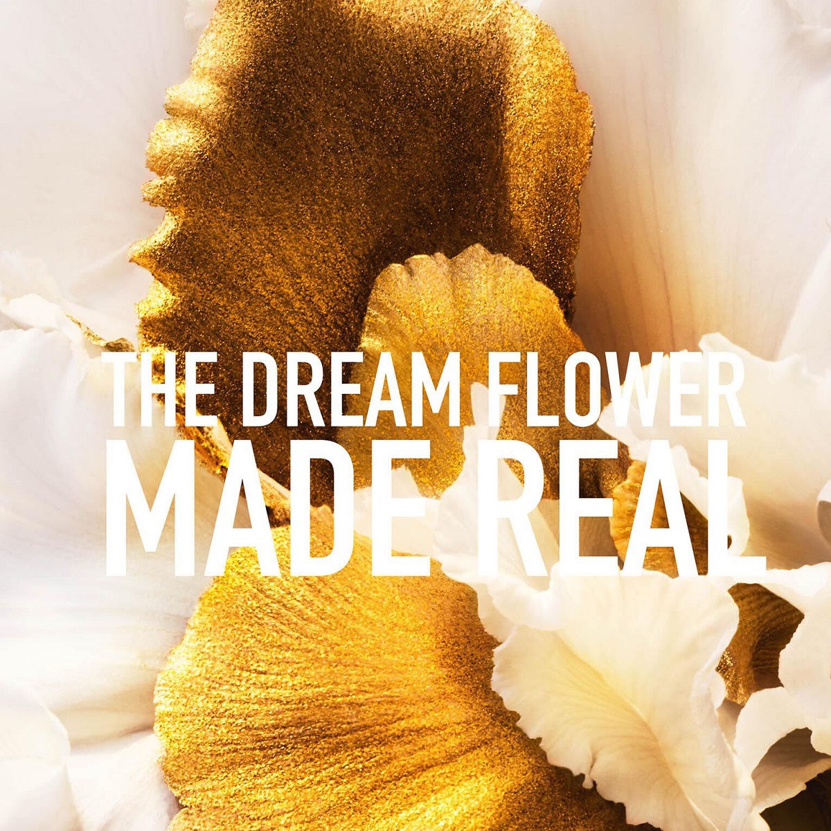 Άρωμα Για Εκείνη Christian Dior J’ Adore Eau De Parfum 2025 50ml μόνο ...